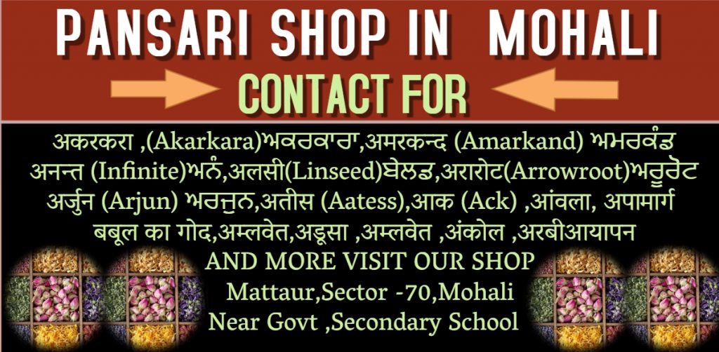 Pansari Pansari Shop in Mohali – Adbook